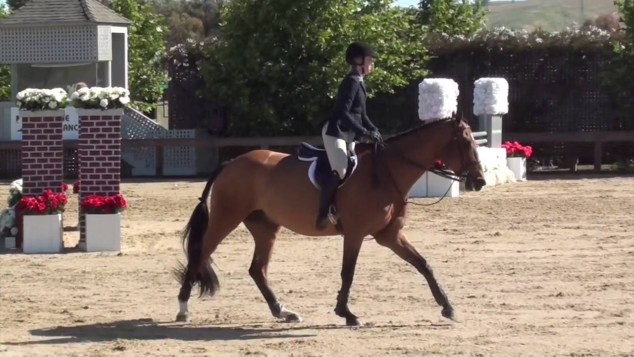 Audrey Poole - Equitation Video 5-14-16 - YouTube