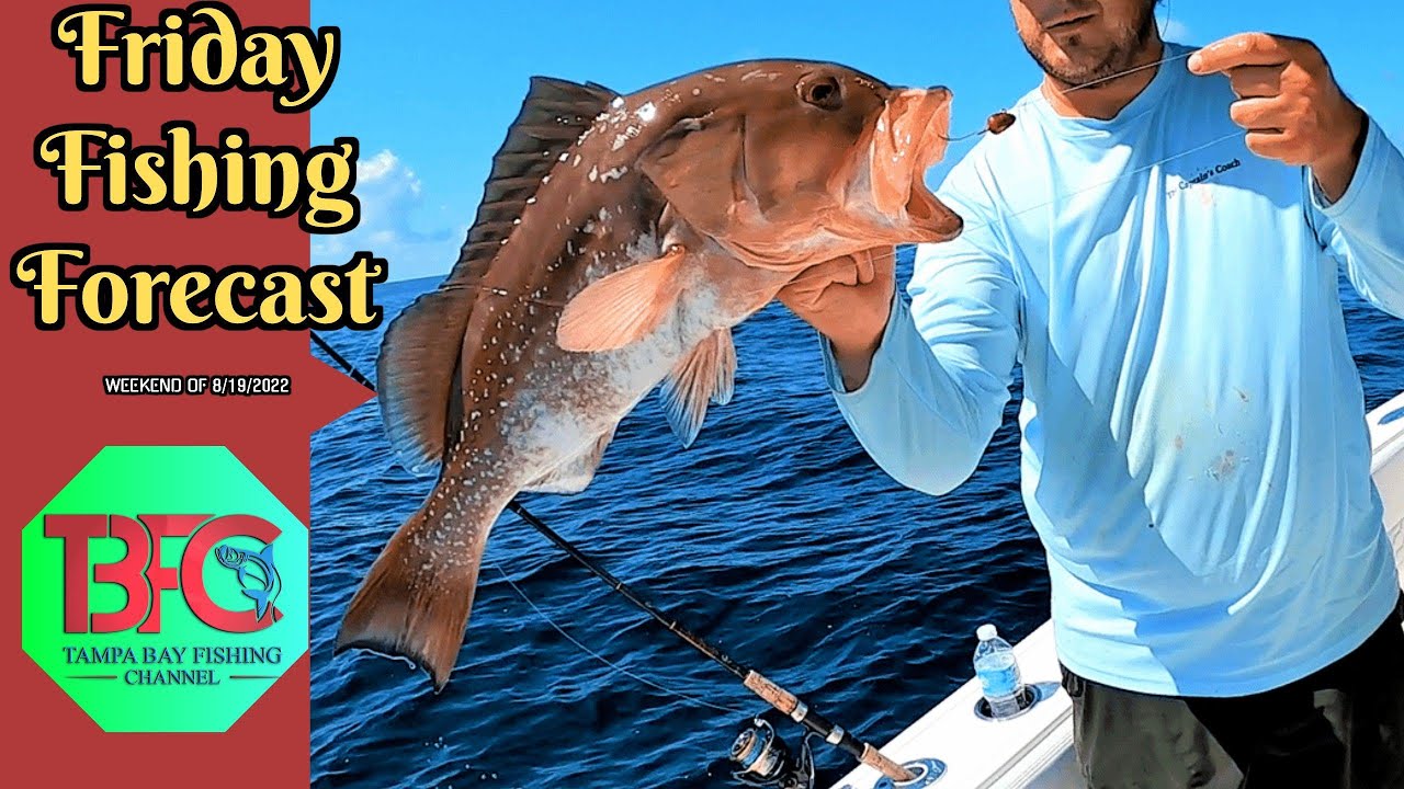 Friday Fishing Forecast for the weekend of Aug 19th! - YouTube