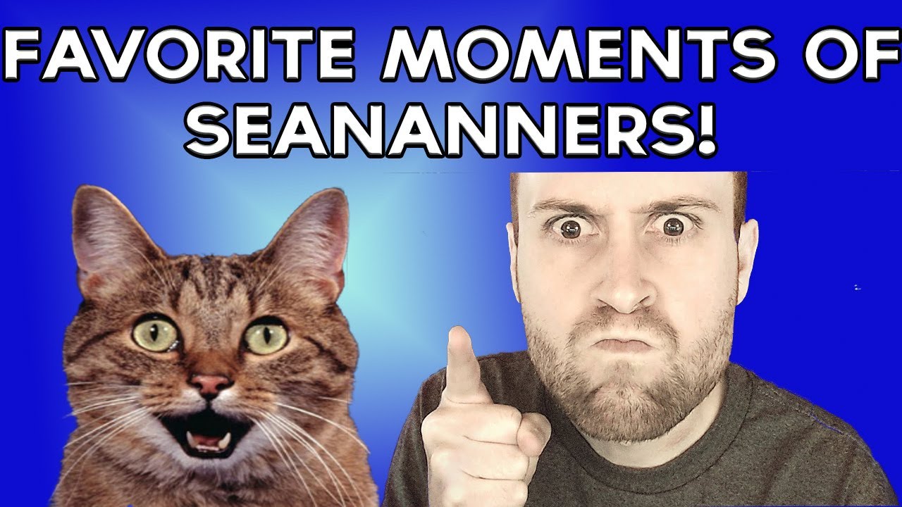 Seananners Cat