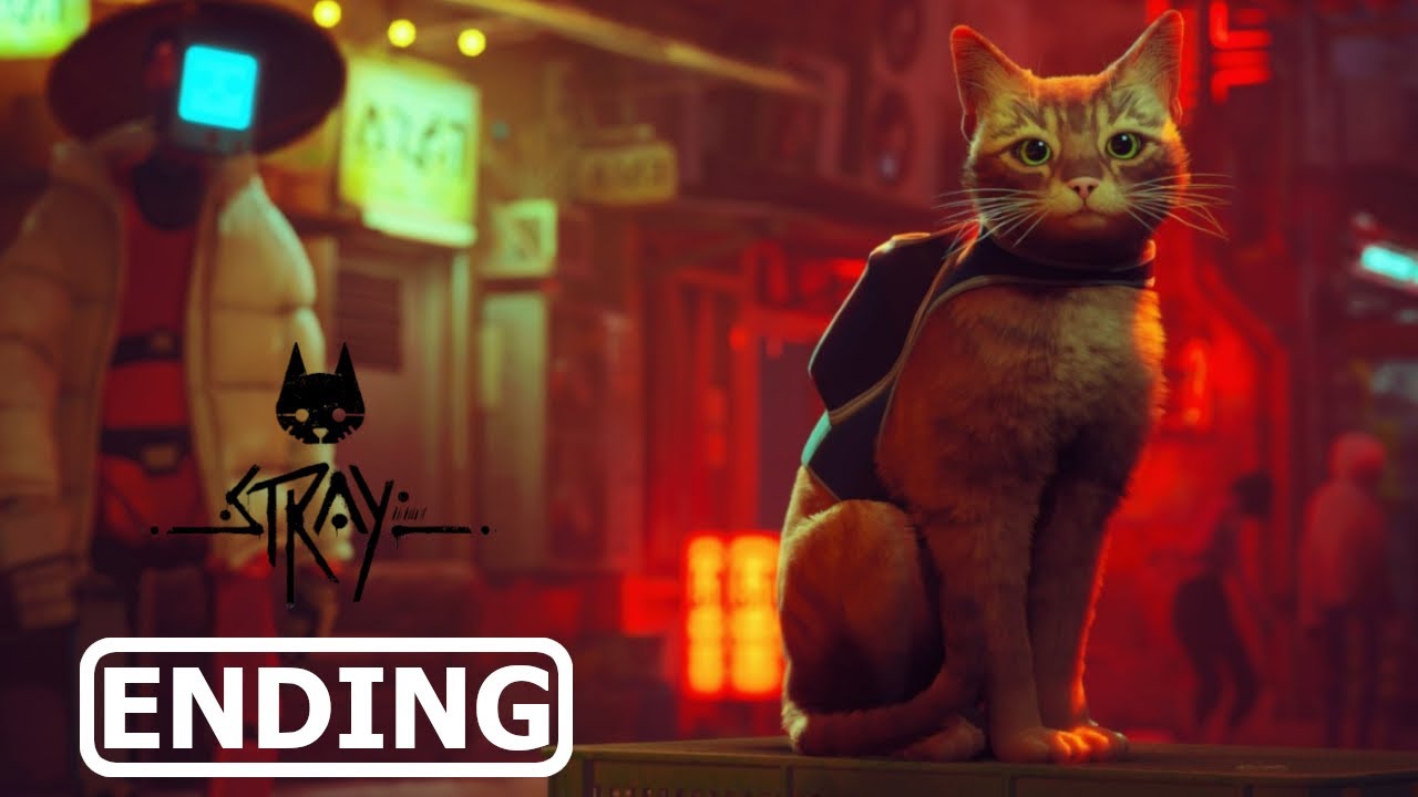 STRAY Gameplay Walkthrough Part 3 [ 60FPS PC] - No Commentary - YouTube
