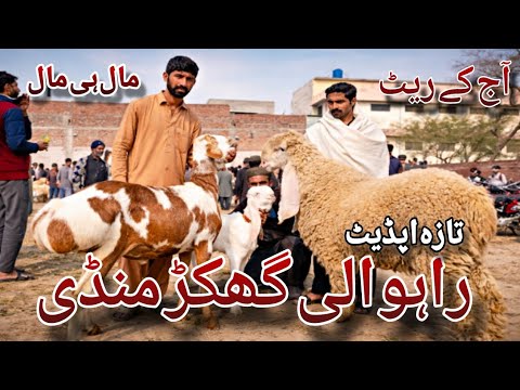 Rahwali Ghakhar Mandi Today Live Update | Goat & Bakra Rates 2026 - YouTube