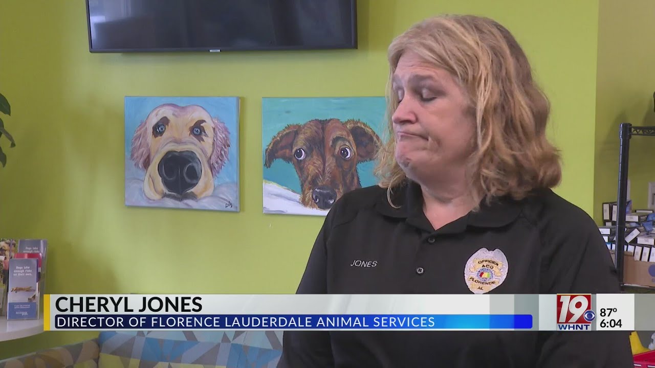 29 Dogs Rescued from Home | July 1, 2025 | News 19 at 6 p.m. - YouTube