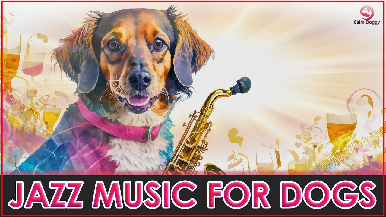 Jazz Music for Dogs to Calm Down, Relax & Sleep | Dog Music Calming Aid ...