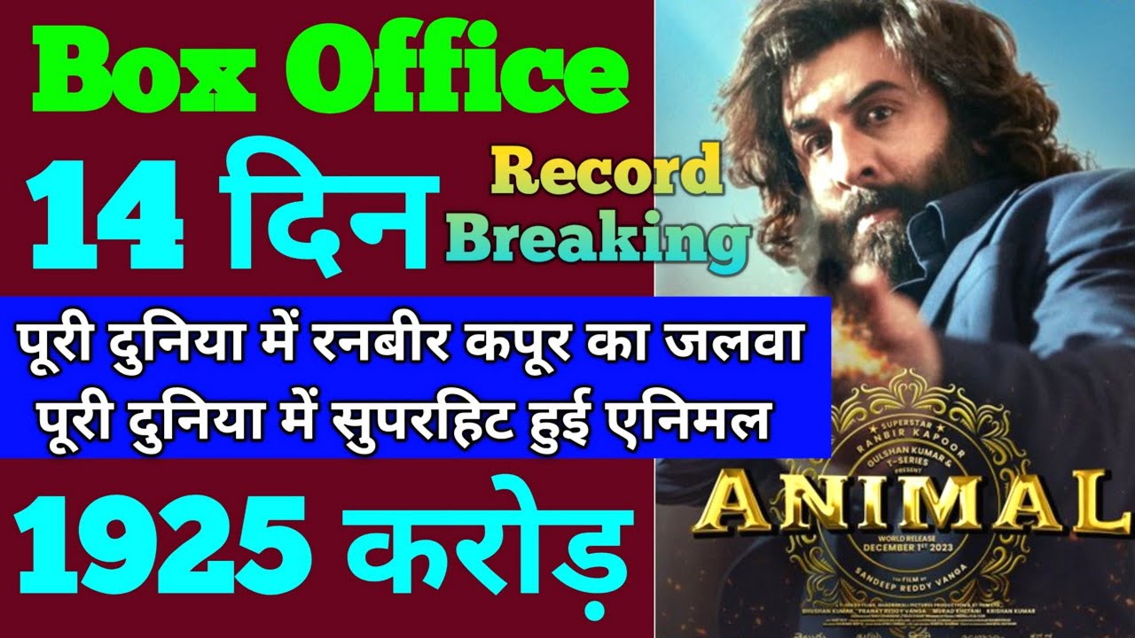 Animal Box Office Collection | Animal 13th Day Collection, Animal 14th ...