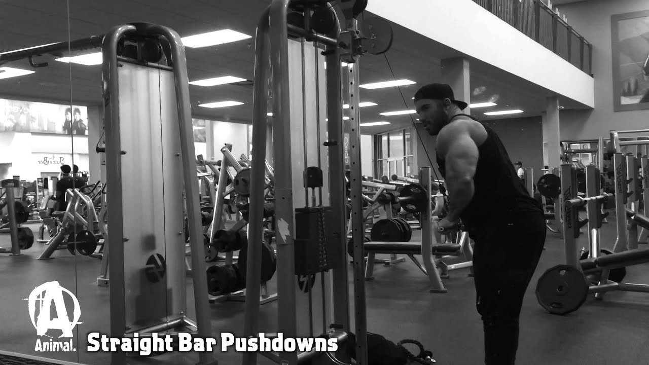 The Animal Underground: Dorian "HEAVY D" Hamilton, Training Arms - YouTube