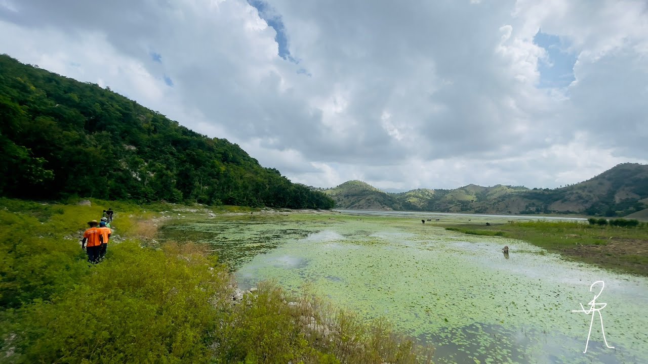 Reboisement Etang Lachaux de Camp-Perrin: 5 ans après quelle différence ...