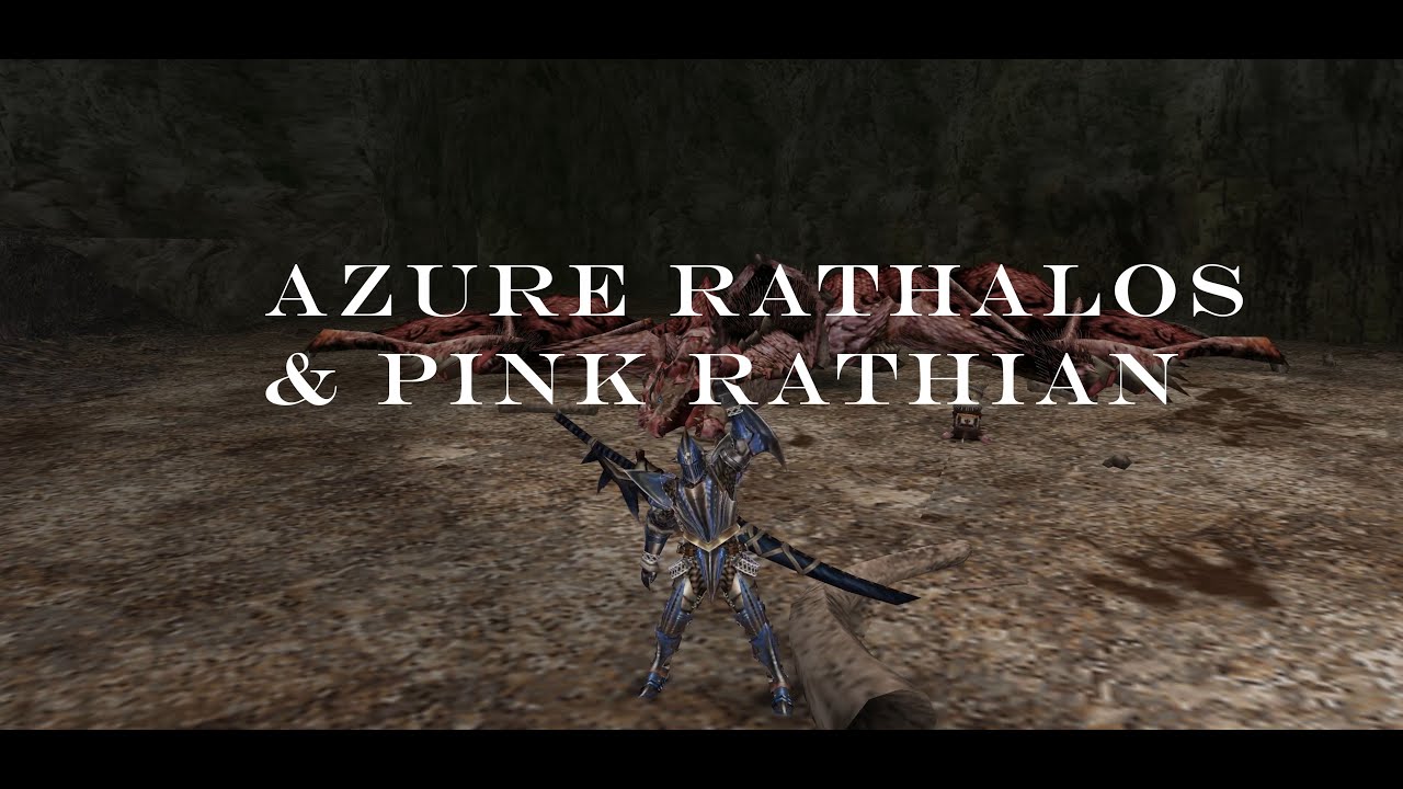 Monster Hunter Freedom Unite - Azure Rathalos and Pink Rathian High ...