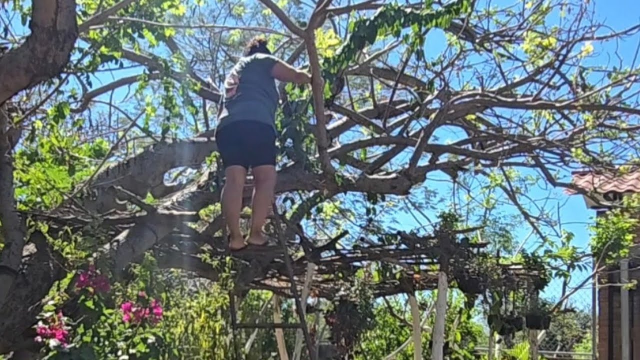 Quise hacer el trabajo de canecho pero no pude😌😌 - YouTube