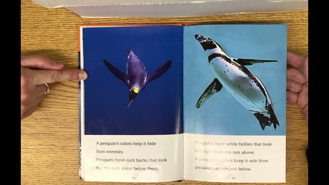 Penguins Are Cool! By Connie and Peter Roop read aloud - YouTube