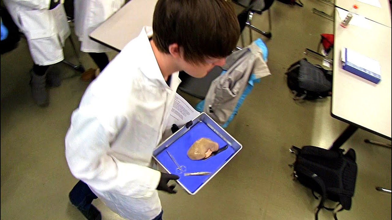Project Lead The Way allows STEM exploration - YouTube