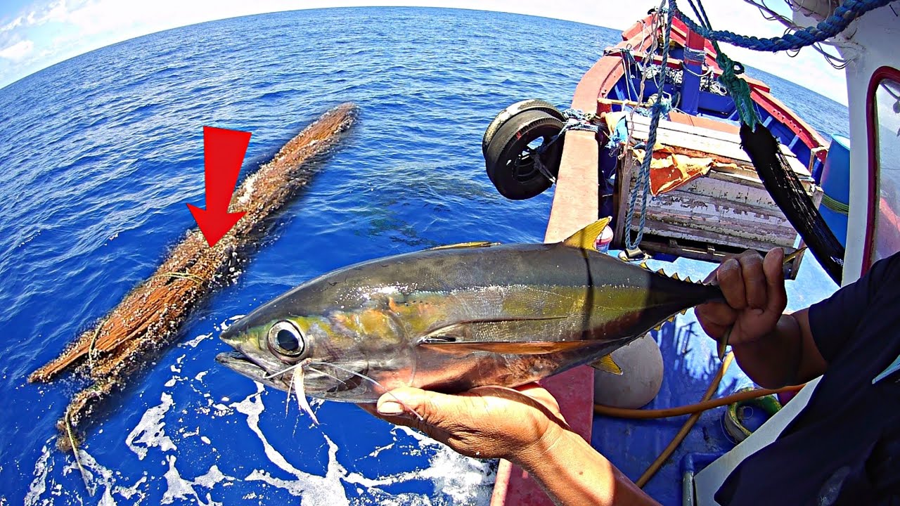 Ep45 palage kameng jackpot sa punong palutang-lutang #pinoyfishing # ...