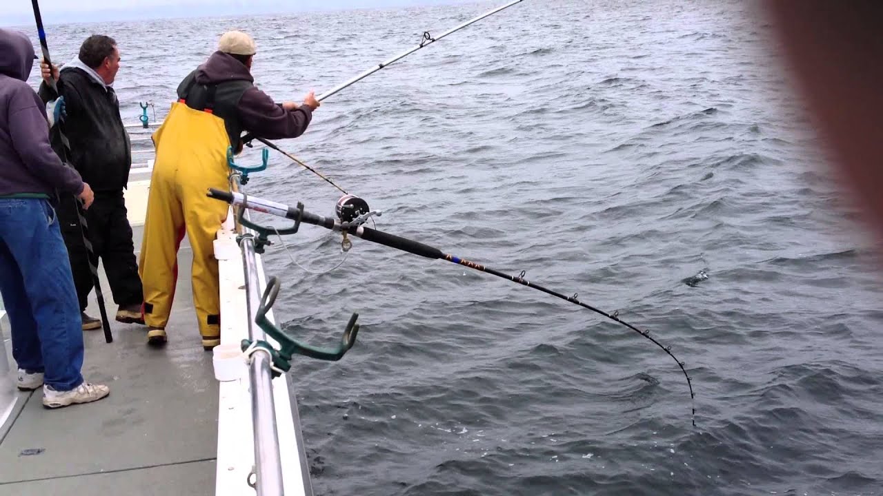 salmon fishing with surf rod from boat - YouTube