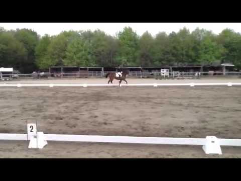 Laura kozak met Vivana op stal cavaro - YouTube