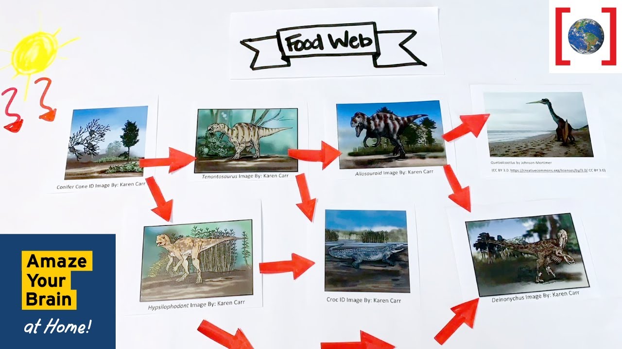 Paleo - Follow the Food | Amaze Your Brain at Home - YouTube