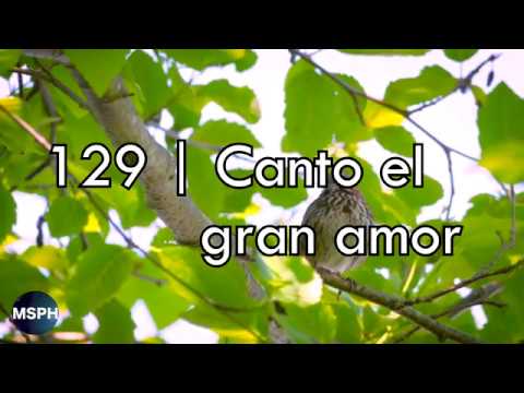 HA62 | Himno 129 | Canto el gran amor