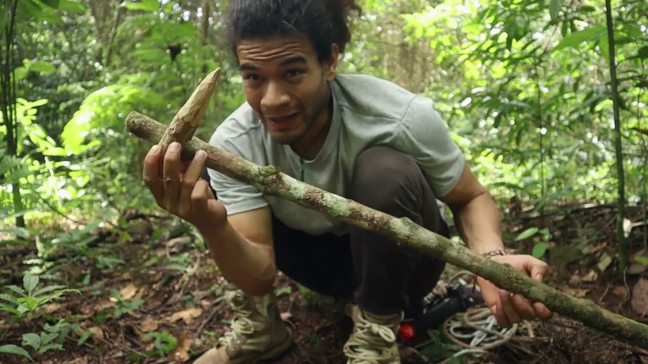 Como hacer una TRAMPA de cacería tipo PICA, Trampa de SUPERVIVENCIA ...