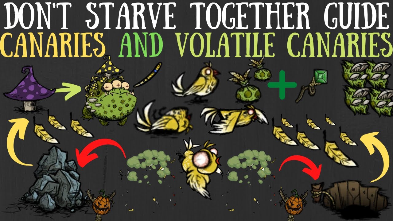 Don't Starve Together Guide: Canaries/Volatile Canaries - Saffron ...