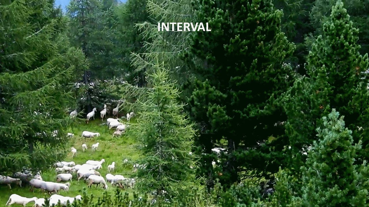 000308 The CHANNEL Is In INTERVAL To COLLECT Own IDEAS YouTube 000308 The CHANNEL Is In INTERVAL To COLLECT Own IDEAS YouTube