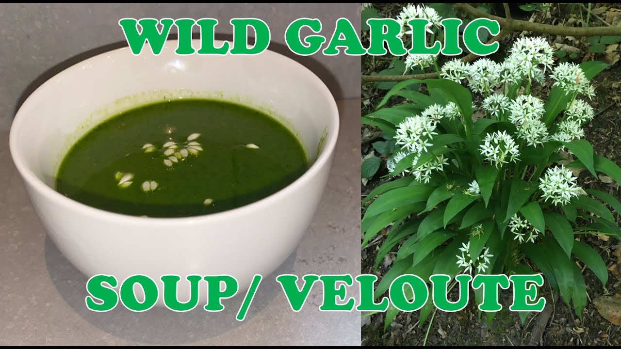 Wild Garlic Veloute/ Soup | Whole Food Plant Based | Sustainable ...