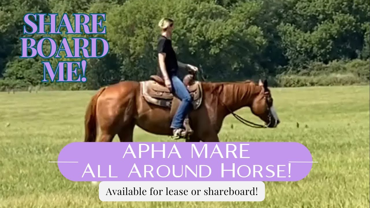 Ride Like a Pro on the Trails in JUST 30 Days with THIS Horse - YouTube