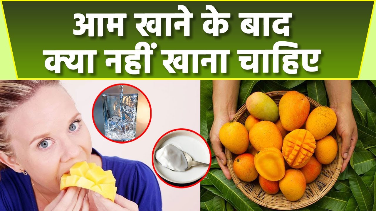 आम खाने के बाद क्या नहीं खाना चाहिए | Aam Khane Ke Bad Kya Nahi Khana ...
