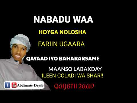 Maanso kusocota Qayaad & Bahararsame