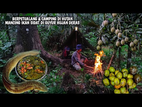 Berpetualang & Camping, panen buah-buahan liar di hutan, pasang pancing dan masak ikan sidat 