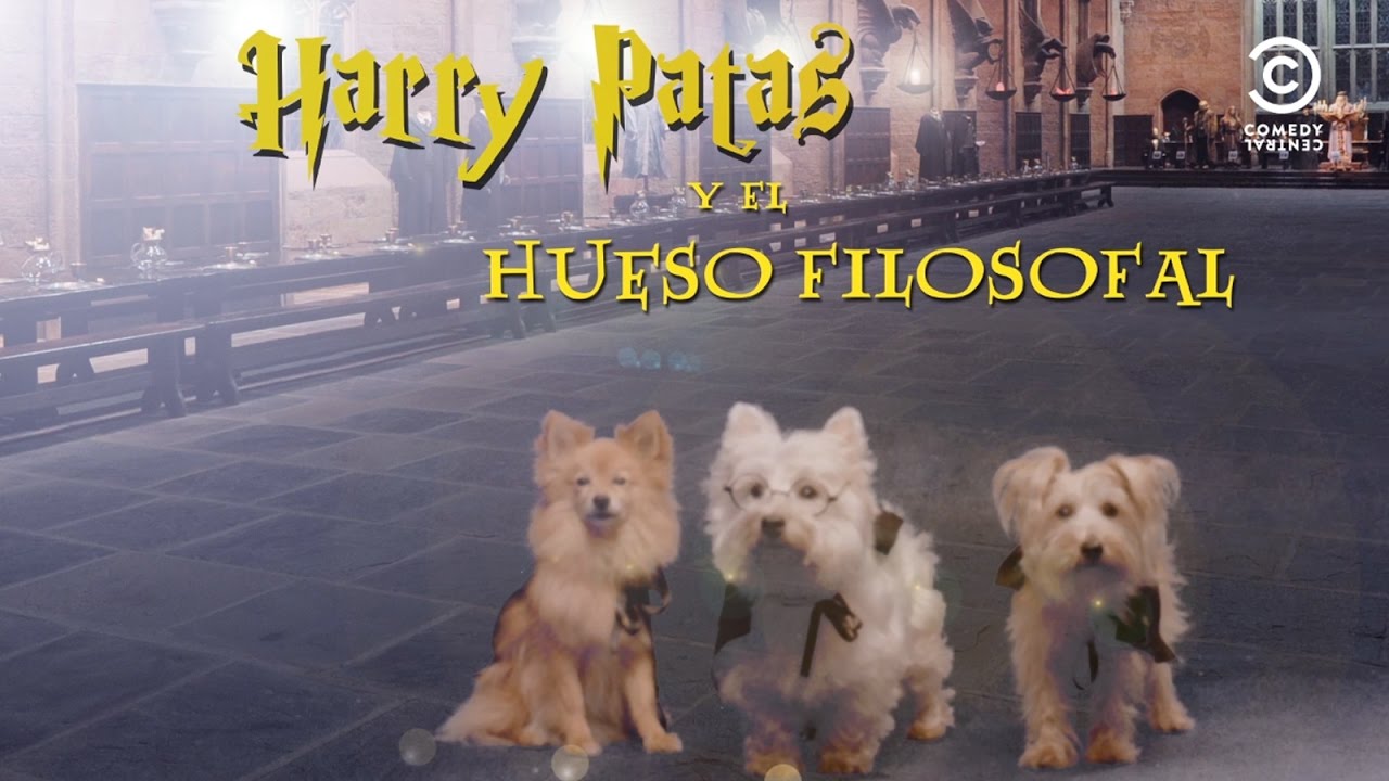 Harry Patas y el hueso filosofal... - YouTube