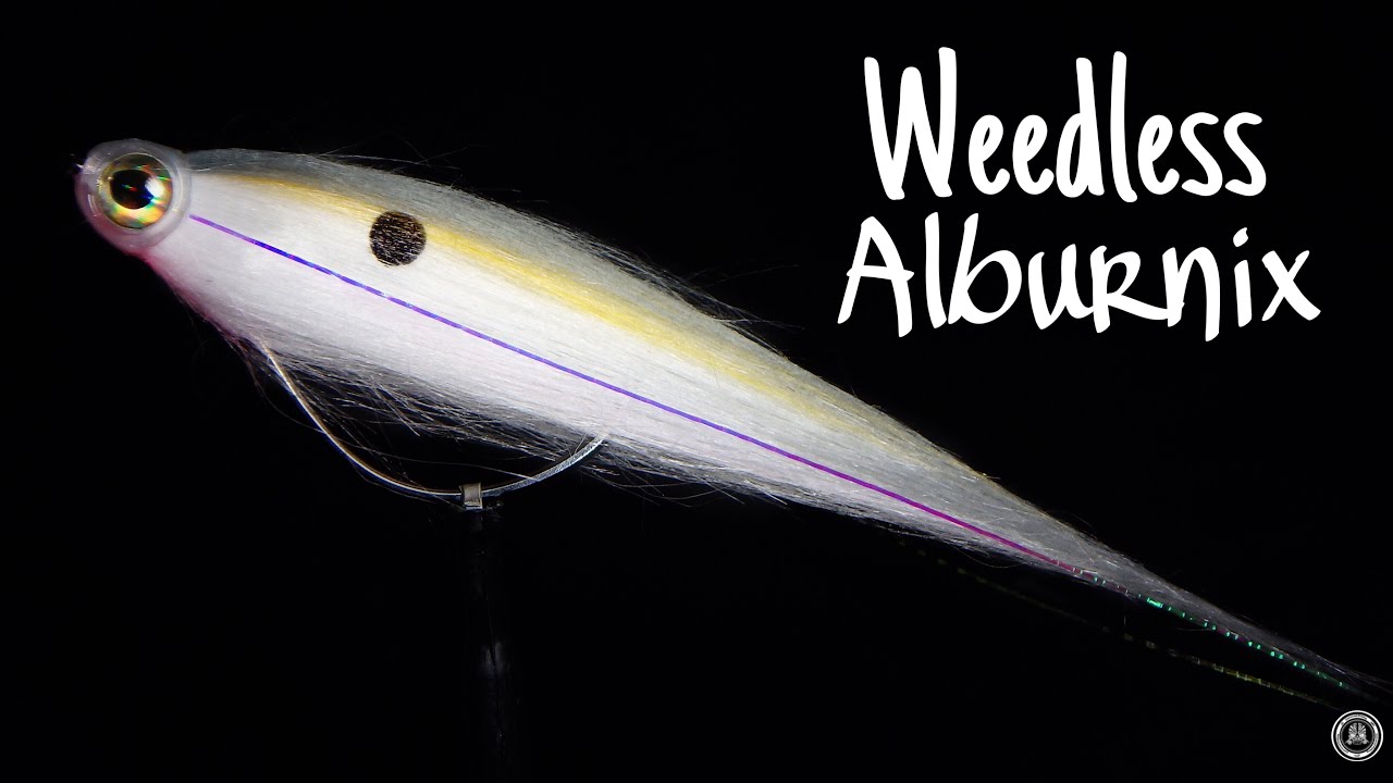 fly tying WEEDLESS ALBURNIX MINNOW STREAMER por Jorge G - YouTube
