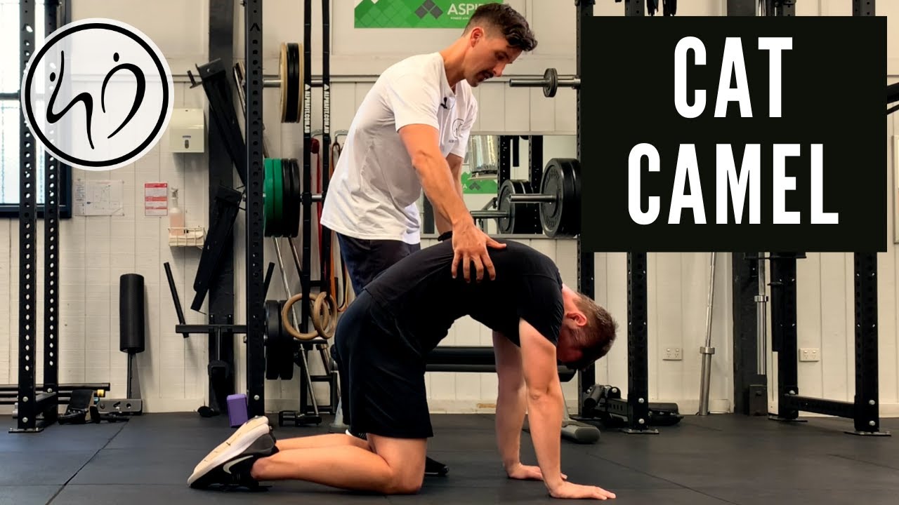 Cat Camel - Spine Mobility - YouTube