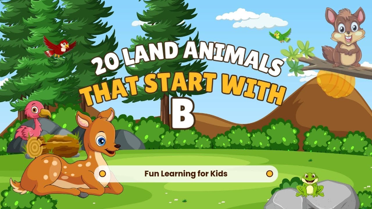 20 Land Animals That Start with "B" | Fun & Educational Animal Video ...