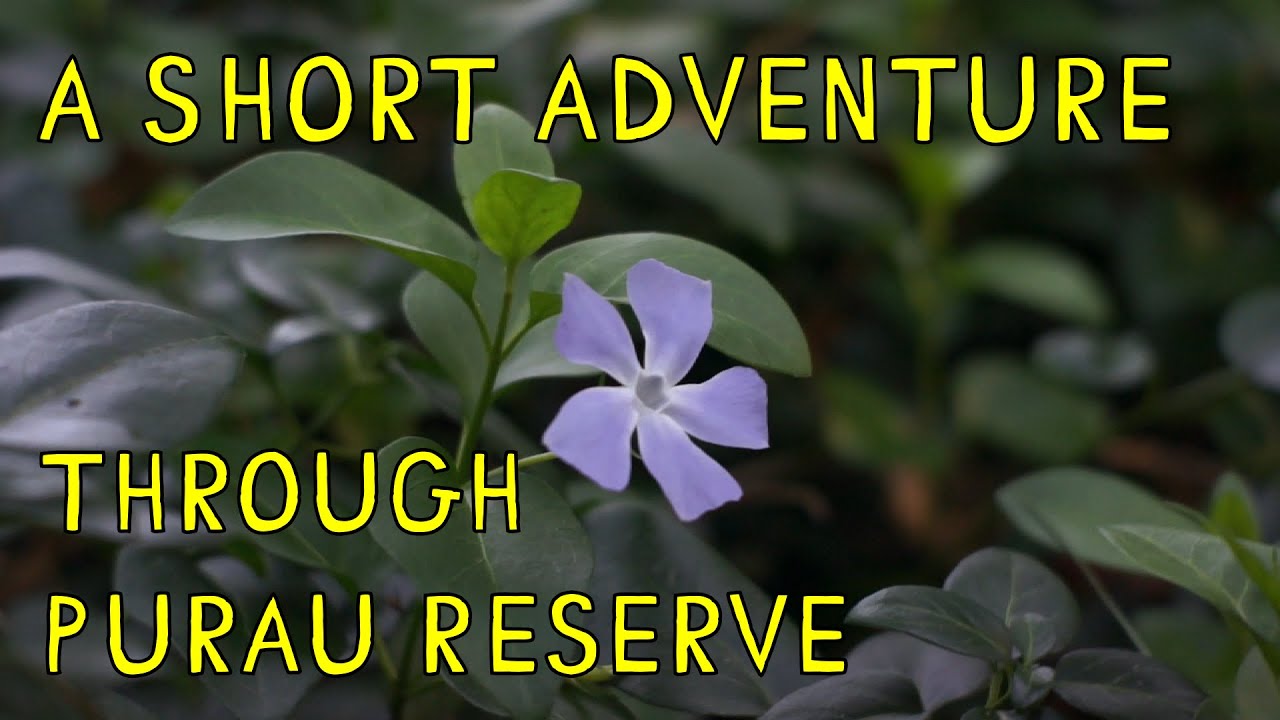 An Adventure Through Purau Reserve (Dreamwave) - YouTube