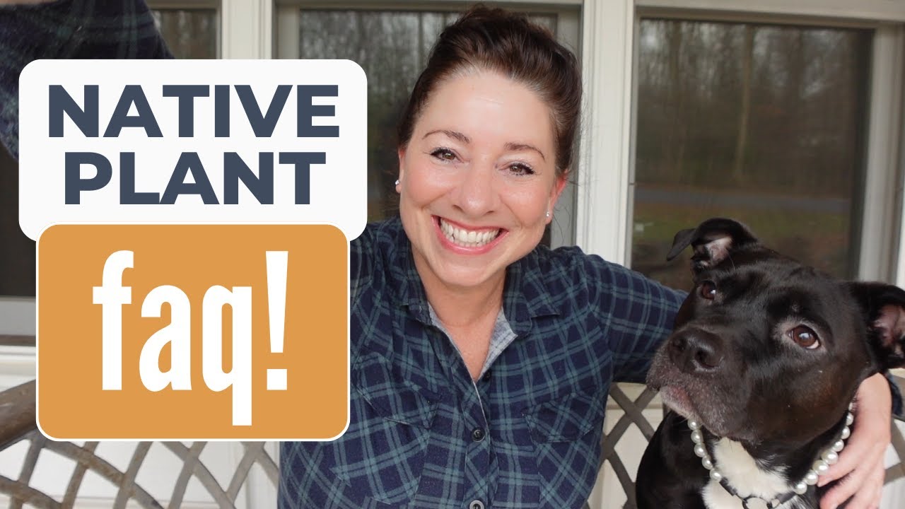 What do you want to know about native plants? I am answering some FAQs ...