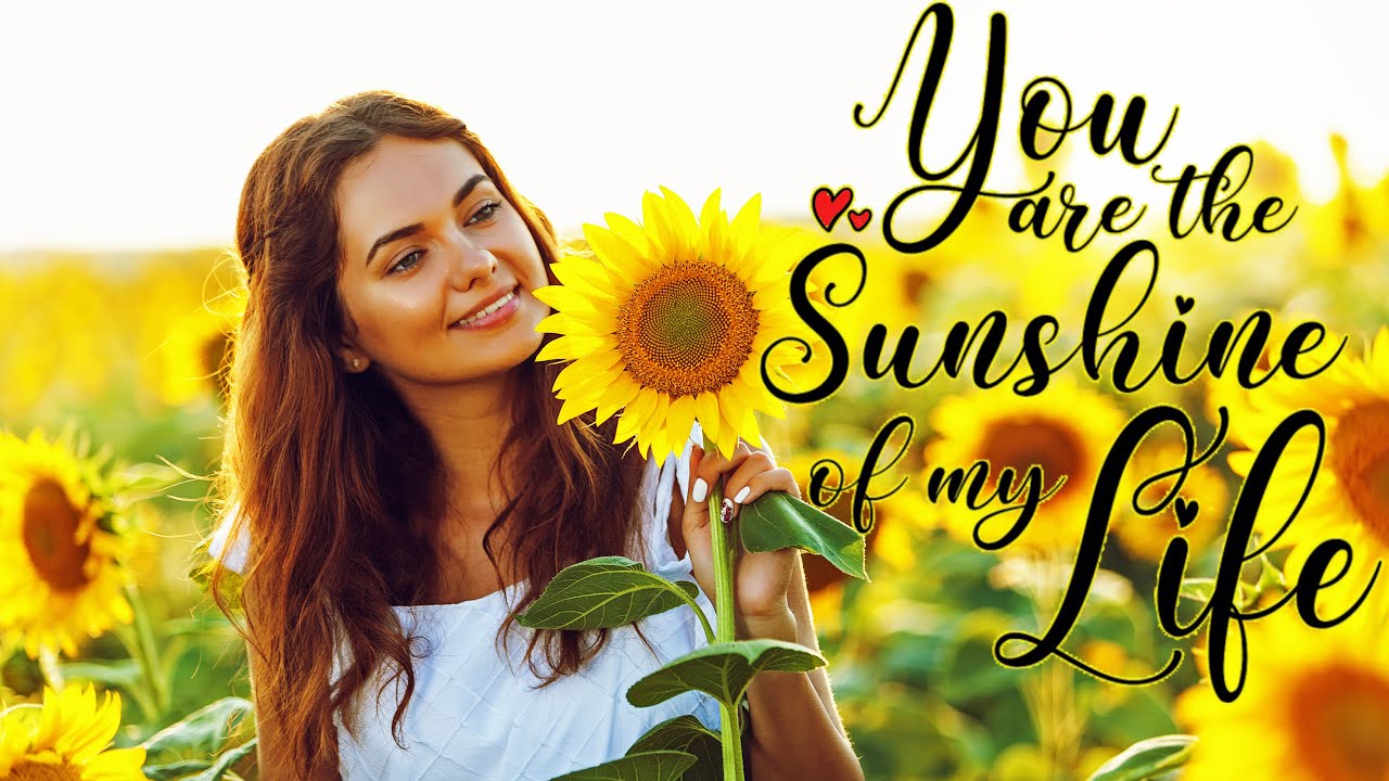 You are the Sunshine of My Life - YouTube