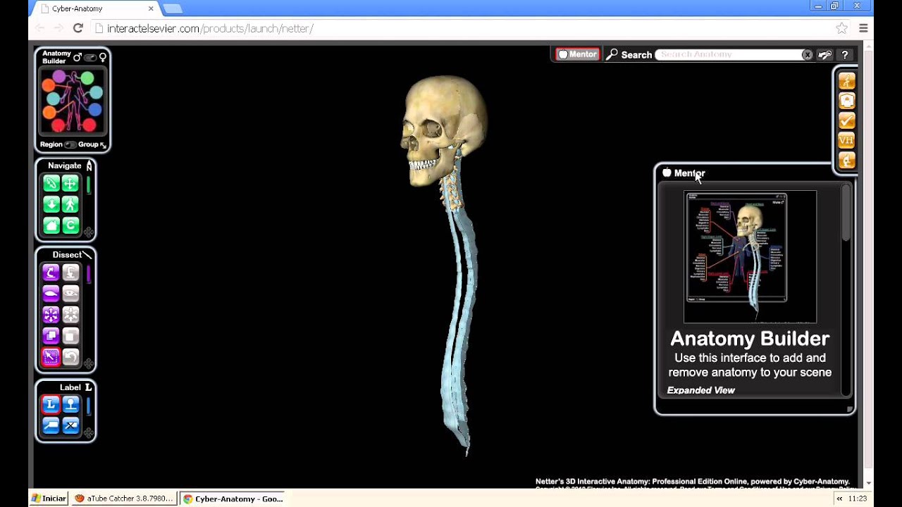 Tutorial NETTER 3D - Parte 2/4 - YouTube