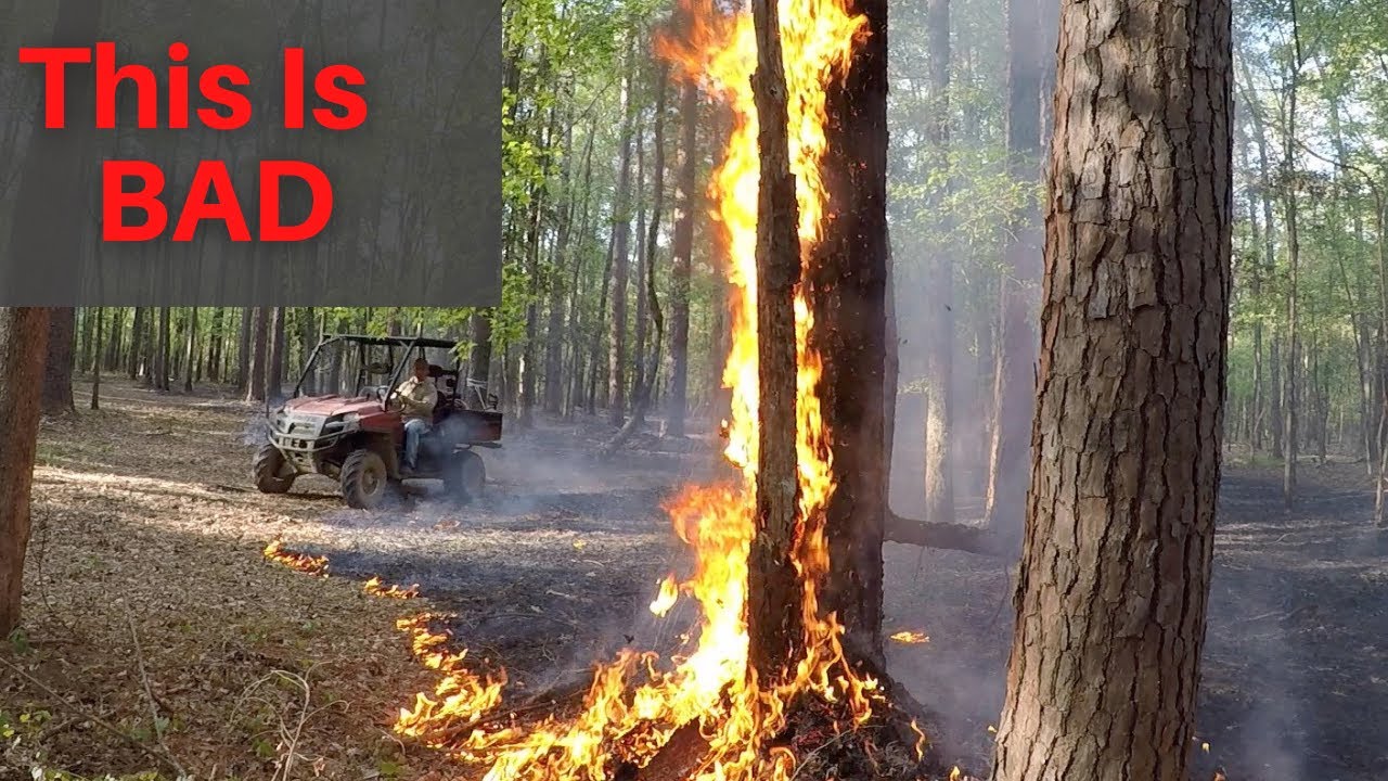 Fire out of Control and Homestead Controlled Burn - YouTube