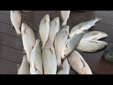 Silikon sahteyle  arka arkaya gelen granyoz avı￼