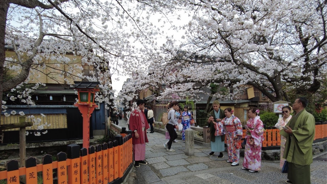 Kyoto Stroll: Gion Tatsumi Bashi - one of Kyoto's most famous bridge ...