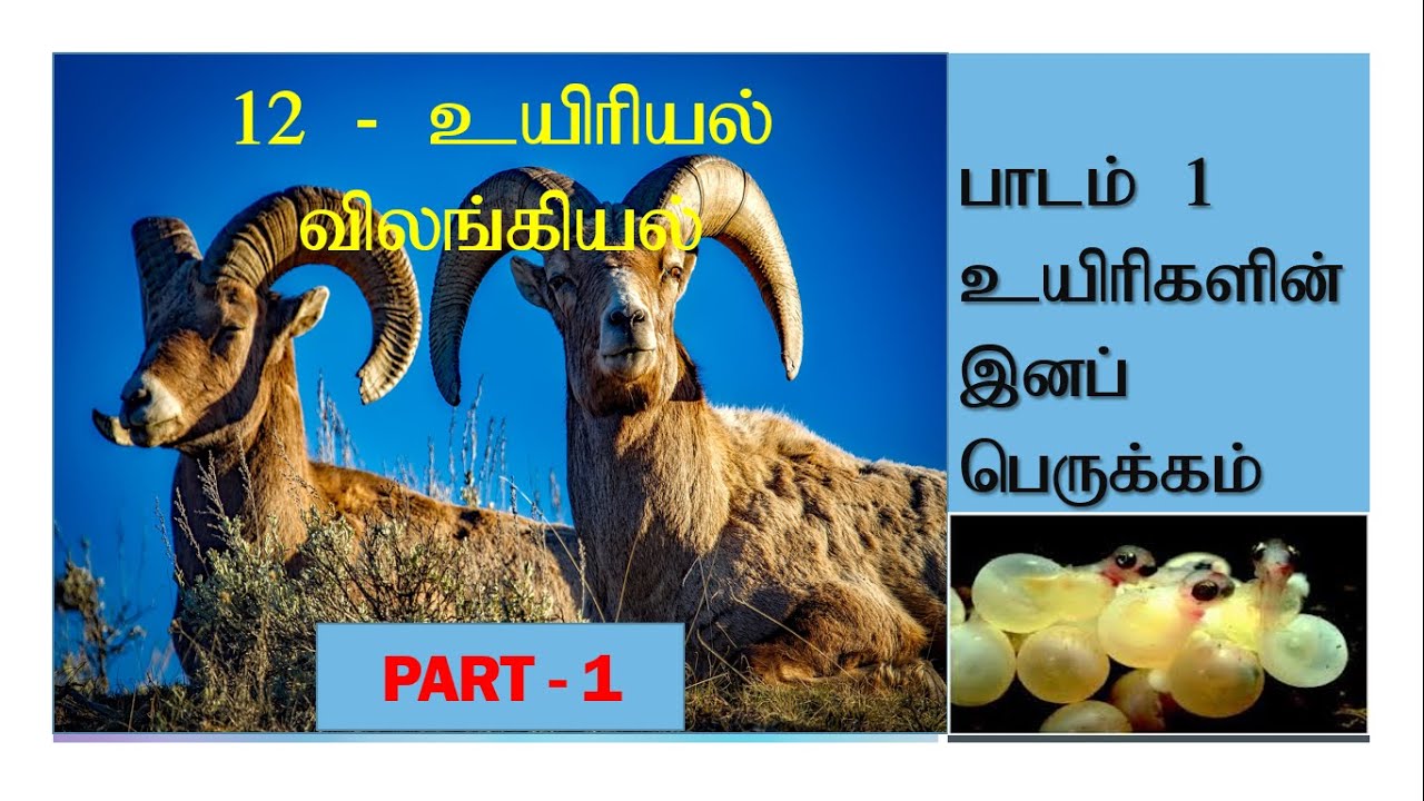Grade 10 Science Textbook Tamil Medium Part 1