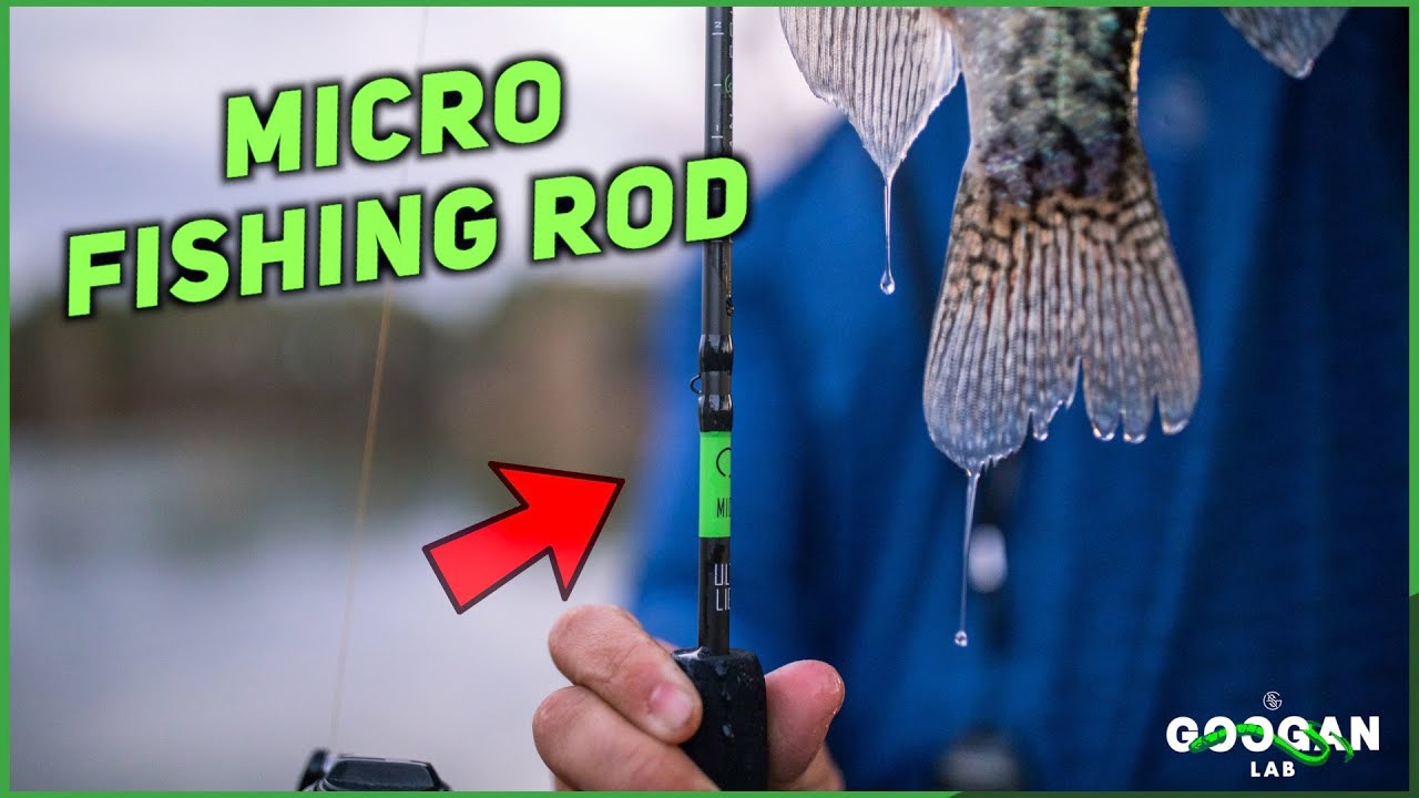 The Perfect MICRO Light Fishing ROD for MULTI SPECIES! ( Fishing Tips ...
