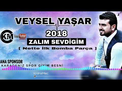 Veysel Yaşar 2018 Zalım Sevdiğim ( official Audio ) Nette İlk