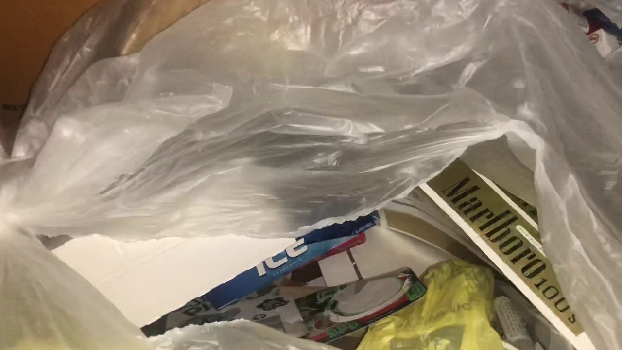 I got completely soaked but I did find some things !!! Yay 😀 - YouTube