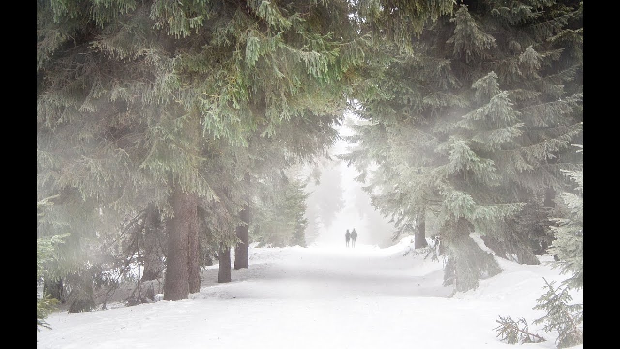 10 Hours White Noise of Whistling Wind - Nature Sounds for Sleeping ...