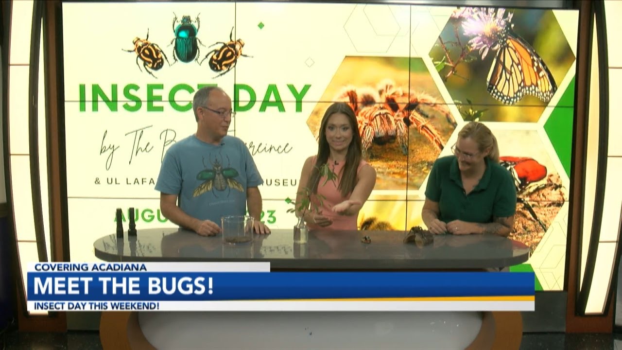 Celebrate Insect Day at the UL Lafayette Science Museum Saturday - YouTube