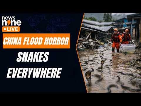China Floods: 900 Snakes, Including Cobras, Escape After Snake Farm Washed Away | News9