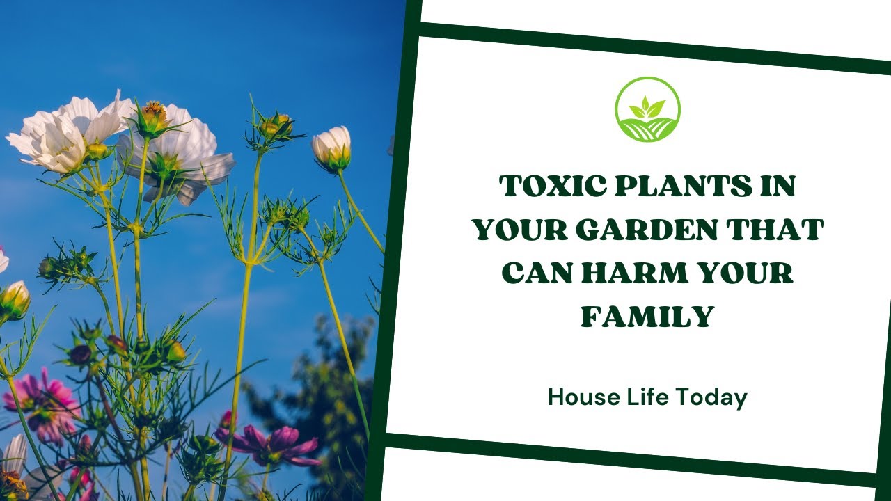 Toxic Plants in Your Garden That Can Harm Your Family - YouTube