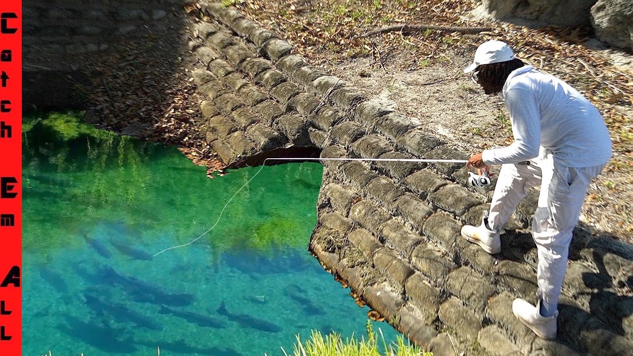 FISHING Hidden DRAINAGE DITCH WATER INVASIVE FISH! - YouTube