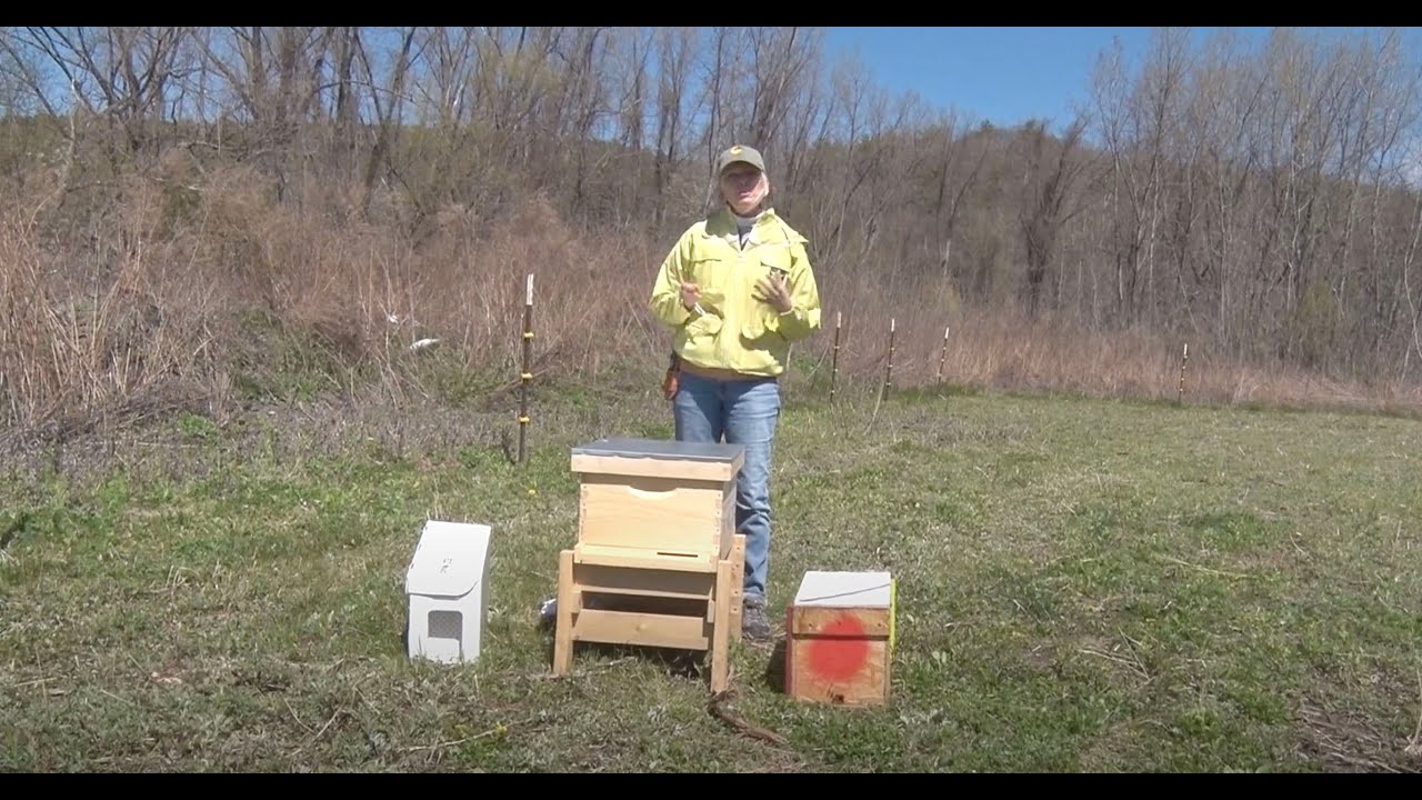 Installing a Nucleus Colony 2020 & 2021 - YouTube