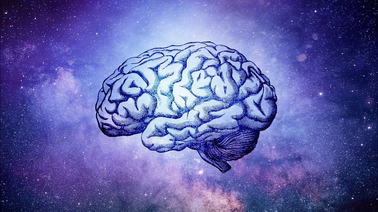 Boltzmann Brains: Evidence Against the Multiverse - Spike Psarris - YouTube