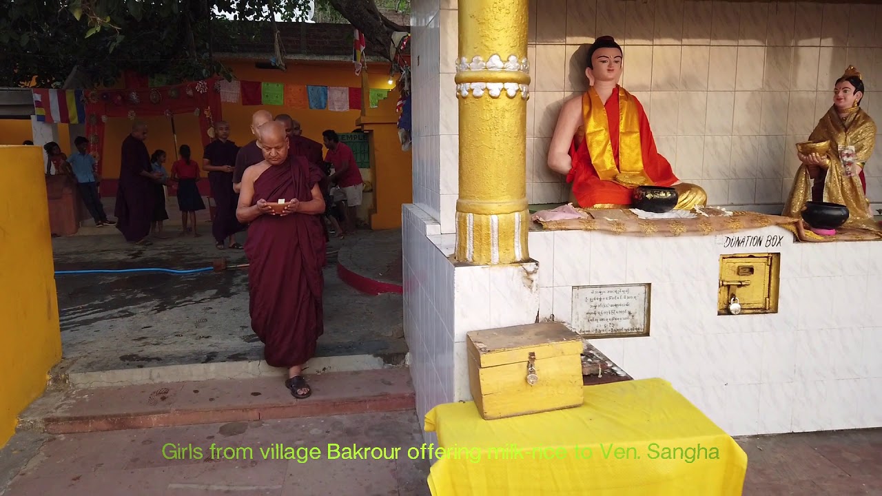 Veshak Purnima 2019- Revitalisation of the sacred Landscape - YouTube